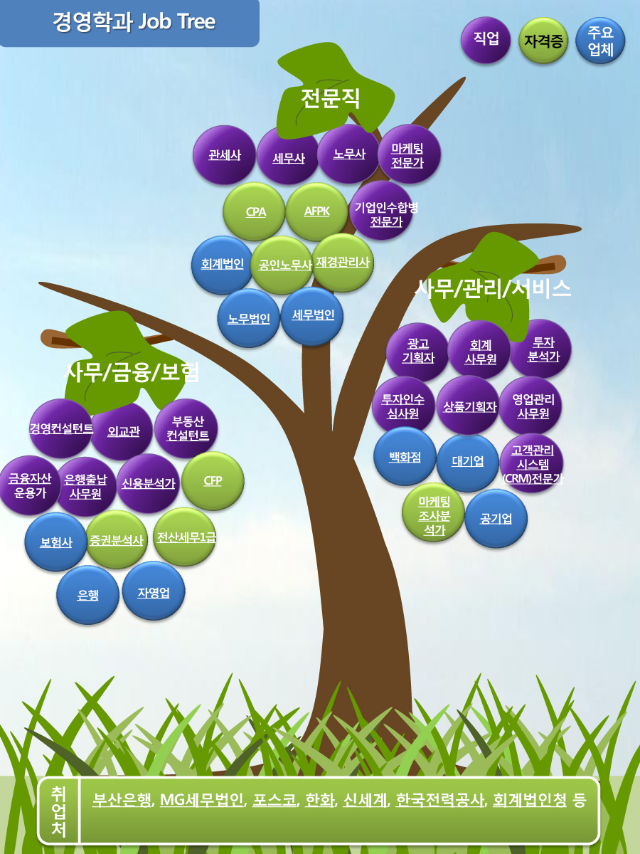 경영학과 Job Tree